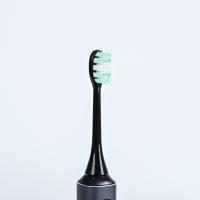 China Sonic Travel Electric Powered Toothbrush Timer Enabled Waterproof for sale