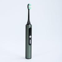 China Sonic Travel Electric Powered Toothbrush Timer Enabled Waterproof for sale