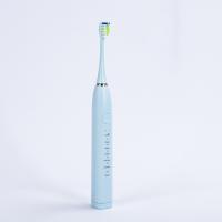 China Lightweight Powered Sonic Toothbrush Travel Electric Multiple With Travel Case for sale