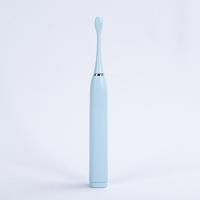 China Sonic Electric Toothbrush Lightweight With Timer For Oral Care for sale