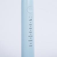 China CANDOUR Noise Level Low for Smart Electric Toothbrush with Ergonomic Handle Design for sale