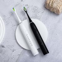 China Lightweight Sonic Electric Toothbrush With Timer Multiple Speed Settings for sale