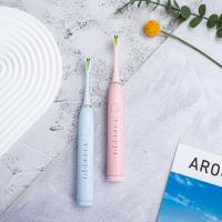 China IPX7 Waterproof Sonic Electric Toothbrush Smart Clean For Travel OEM for sale