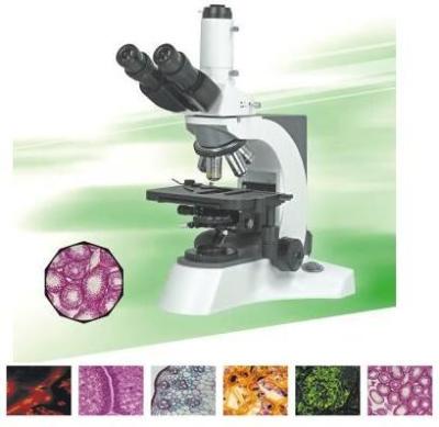 China Cell Organisms 1000X Infinite Optical Laboratory Biological Microscope Trinocular for sale