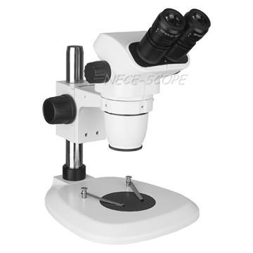 China Binocular Compound  Diopter Adjustment Microscope For  Botany Research for sale