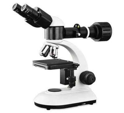 China Economic Optical Light Microscope , Monocular Compound Light Microscopy for sale