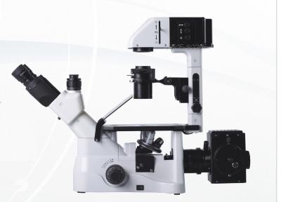 China 6V 30W Tissue Culture Laboratory Biological Microscope Halogen NCQ - 600 φ35mm φ54mm for sale