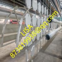 China Dodecagonal 12.9M 17M 20M 25M 30M Lift Type Polygonal High Mast Steel Pole with Hot-dip Galvanization and White Powder Coating Surface for sale