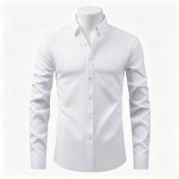 China Slim Fit Mens Long Sleeved Shirt Wrinkle Resistant 4 Way Stretch Button Down Shirt for sale