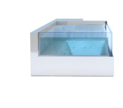 China Upgrade Your Aquatic Experience with a Rectangular Stainless Steel Shipping Container for sale