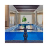 China Plastic Customized Swimming Pools for Transparent Skyline Infinity Glass Rooftop View for sale