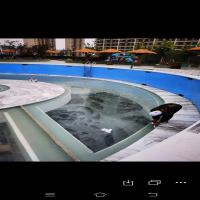 China Transparent Clear Infinity Acrylic Wall Outdoor Polyester Swimming Pool for Family Fun for sale