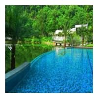 China Clear Luxury Garden Acrylic 6 Meter Swim Spa Pool for Easy Installation and Clear Water for sale