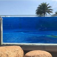 China Diaphaneity High Light Transmission Custom University Above Ground Swimming Pool for sale