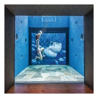China Digital Print on Acrylic Sheet Clear Acrylic Sheet with Customizable Light Pmma Lgp Sheet for sale
