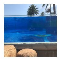 China 50mm Thick Clear Acrylic Glass Panels for Swimming Pool Density 1.20g/cm3 and Durable for sale