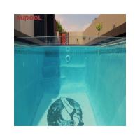 China Backyard Swimming Pool Panel made of High Surface Hardness Lucite Acrylic Material for sale