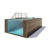 China Moulding Glass Pools Above Ground Salt Chlorinator for Custom Outdoor Swimming Pools for sale