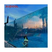 China Customer's Demand Customized Above Ground Swimming Pool with Fiberglass Plastic Acrylic for sale