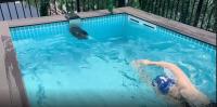 China Customized Acrylic Panel Thickness Carbon Fibre Glass Backyard Inground Swimming Pool for sale