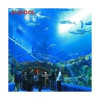China Fashion Design Piscina Pvc Adult Children Durable Inflatable Acrylic Frame Swimming Pool for sale