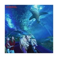 China Fashion Design Piscina Pvc Adult Children Durable Inflatable Acrylic Frame Swimming Pool for sale