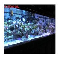 China 60Mm 80Mm Clear Acrylic Swimming Pool With Acrylicpool Wall With Crystal Clear Water for sale