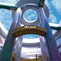 China Non Yellowing Custom Clear Acrylic Swimming Pool For High Light Transmission 93% for sale
