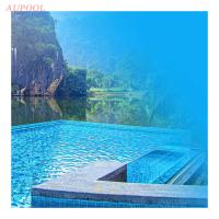 China Transparent Swimming Pool Cleaner Triangular Vacuum Head Cleaner for Family Swimming Pool for sale