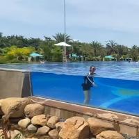 China Indoor Pool With Aupool'S Luxurious Customized Black Bottom Swimming Pool for sale