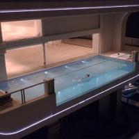 China Outdoor Overground Villa Pool with 4 Side Transparent Panel and Acrylic Material for sale