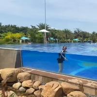 China Thick Window Wall Above Ground Acrylic Swimming Pool with High Light Transmission 93% for sale