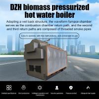China DzH Biomass Wood Chips Coal Fired Hot Water Boiler Dual Fuel Type For Greenhouse for sale