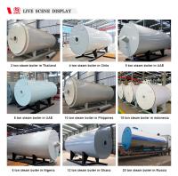 China Gas / Diesel / LPG Fired Thermal Oil Heater Boiler Stainless Steel Skid Mounted 350KW-2400KW for sale