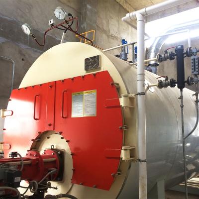 China CWNS 10 Ton Automatic Natural Circulation Horizontal Industrial Hot-water Boiler for Garment Use with High Efficiency for sale
