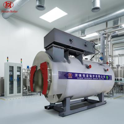China WNS Horizontal Industrial Steam Boiler Natural Gas LPG Diesel Waste Oil Remote Monitoring for sale