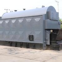 China Energy Saving Biomass Fired Steam Boiler High Efficiency for Food Plant for sale