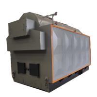 China Industrial Automatic Horizontal DZH 1-6 Ton Woodchip Coconut Palm Shell Fired Steam Boiler with Easy Operation for Sale for sale