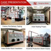 China Horizontal DZH Steam Boiler Automatic Low Pressure Biomass Steam Boiler Equipment for sale