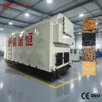 China 12 TPH DZH Biomass Fired Steam Boiler Coal Biomass Steam Boiler For Large Feed Mill for sale