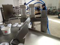 China Rotary Gelato Ice Cream Cup Filling Sealing Machine 220V 2.5KW for Food Shop for sale