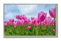 China At070tn83 V.1 800x480 7 Inch Display With Touch Screen Color LCD Panels 300Nits 40Pins for sale
