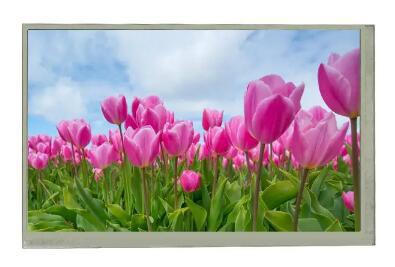 China At070tn83 V.1 800x480 7 Inch Display With Touch Screen Color LCD Panels 300Nits 40Pins for sale