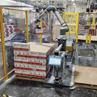 China CE Certified UR20 Cobot Palletizing Workstation 20kg Collaborative Robot for Grain Product Carton Palletizing Handling for sale