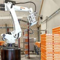China 5 Axis Robotic Palletizer KUKA KR 140 R3200-2 PA 140kg 3195mm Reach Industrial Robot for sale