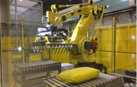 China High Efficiency FANUC Palletizing Robot M-410iC/500 Match Automated Forklift for sale