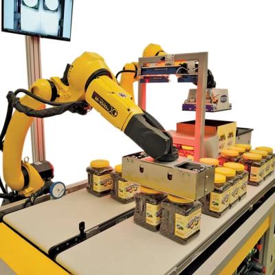 China High Speed Stable 6 Axis Robot Arm FANUC 10iD Series PLC Motor IP54 Max Payload 35kg for sale