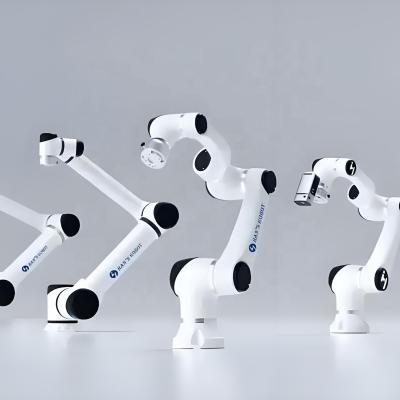 China Cobot Robot Palletizer Packing Machinery Stacker Case Robot Packaging Line with High for sale