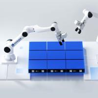 China Advanced Cobot or Robotic Arm Palletizing Huayan 6 Axis Cobot Robot Arm for Li for sale