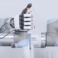 China Intelligent Inspire Robot 6 Degrees Freedom 12 Joints Hand Robotic Electric for sale